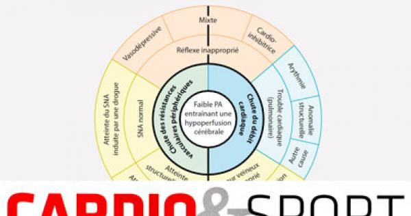 SYNCOPE ET MALAISE CHEZ LE SPORTIF | Club des Cardiologues du Sport